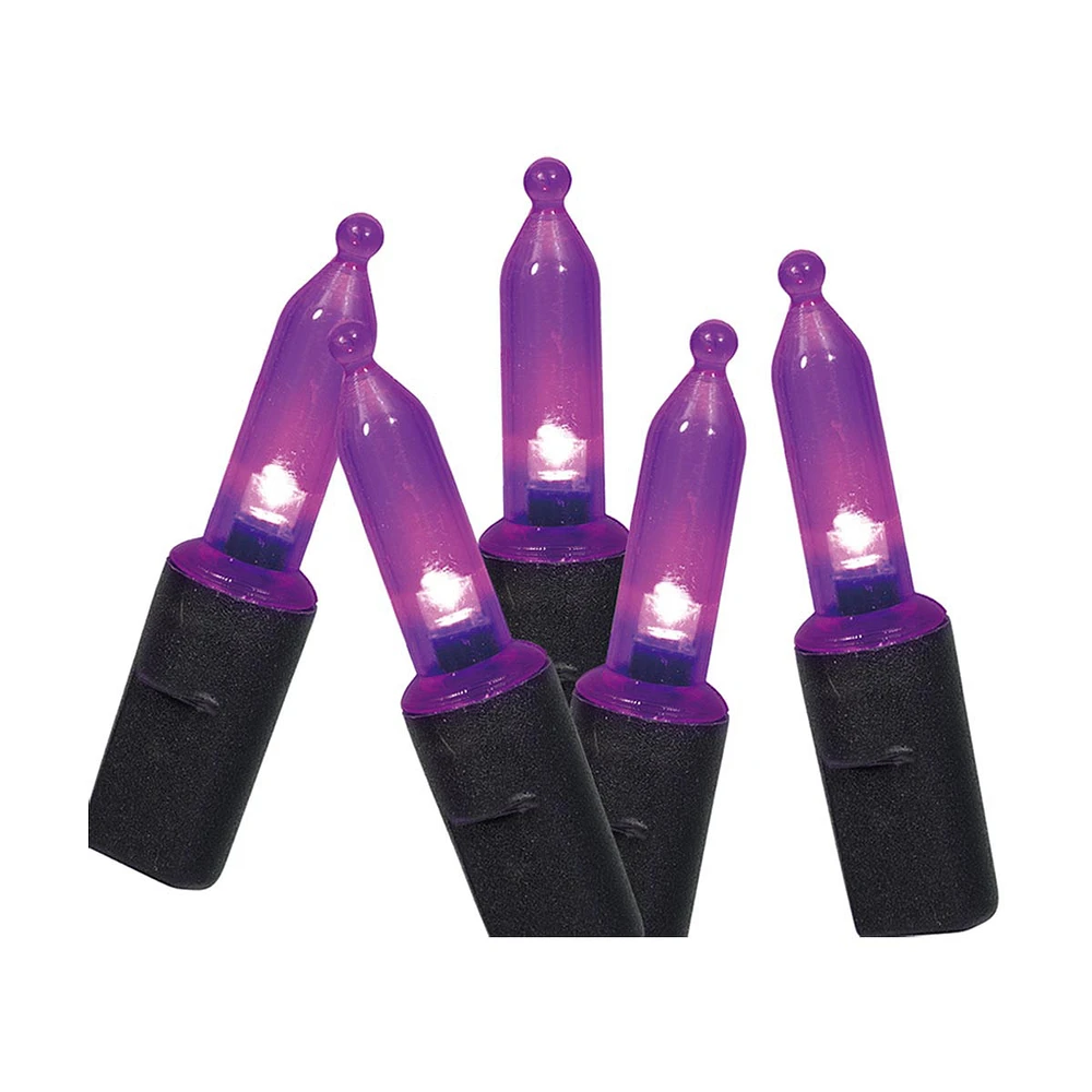 Popshelf Halloween Mini LED Lights, 50 ct | Hamilton Place