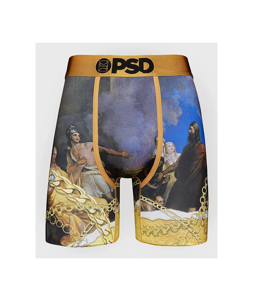 PSD Renaissance Boxer Briefs | Hamilton Place