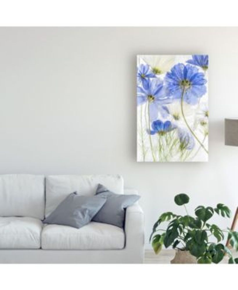 Trademark Global Mandy Disher Cosmos Blue Floral Canvas Art - 37" x 49 ...