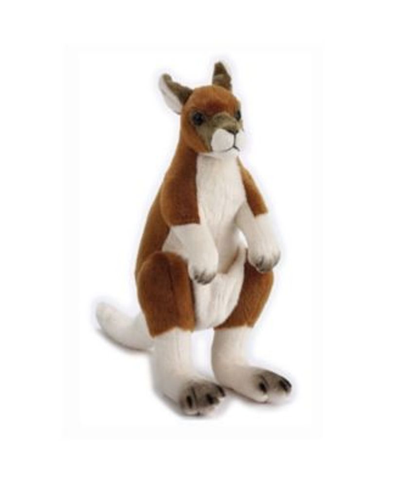 First and Main Venturelli Lelly National Geographic Kangaroo Basic ...