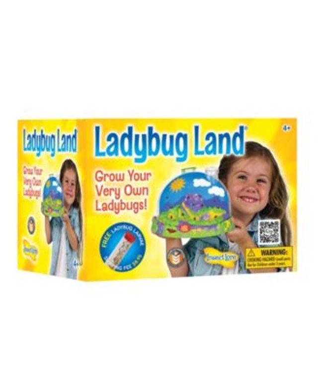 Insect Lore STEM Educational Ladybug Life Cycle Growing Kit | Mall of ...