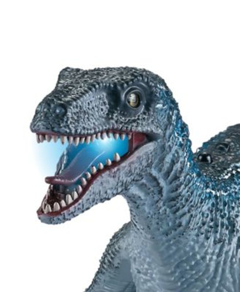 Jupiter Creations Remote controlled velociraptor with LED lights ...