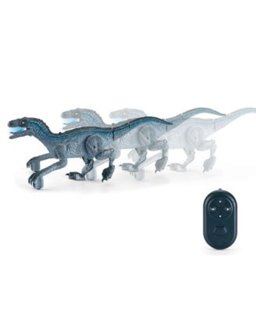 Jupiter Creations Remote controlled velociraptor with LED lights ...