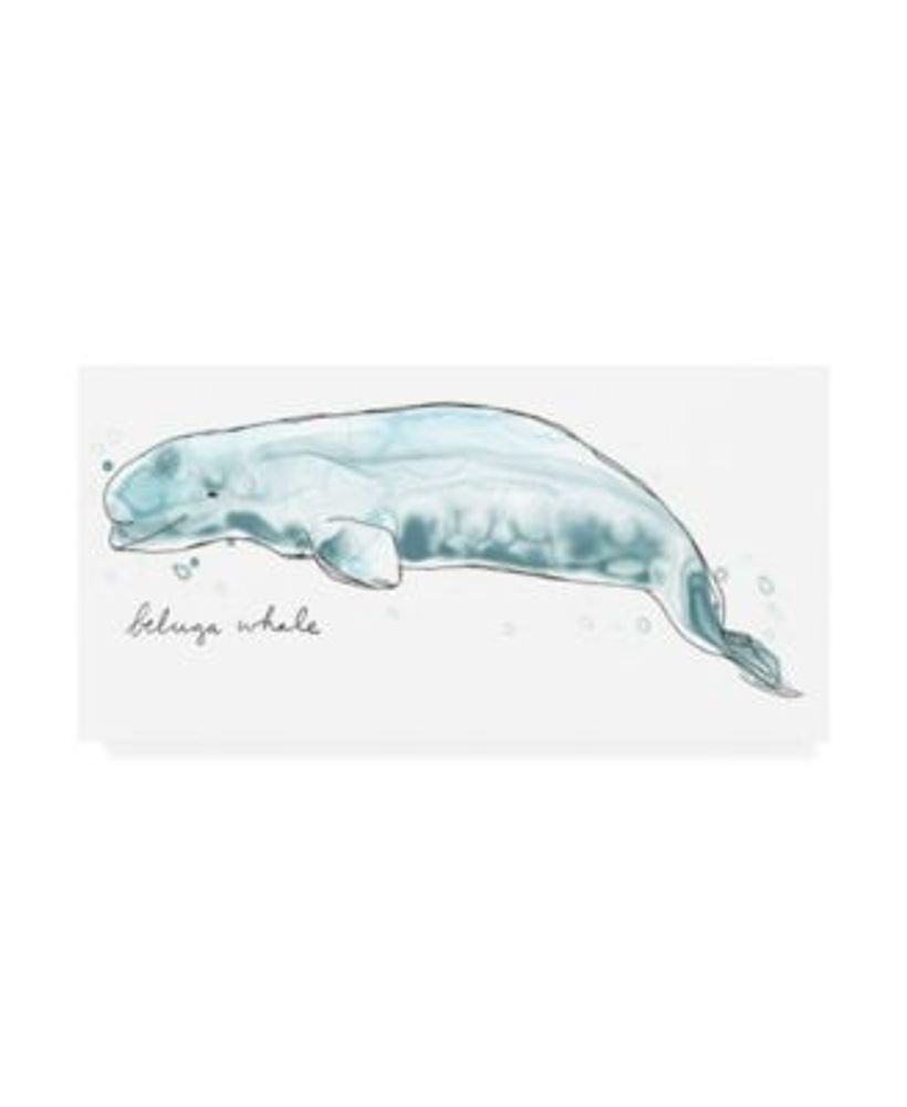 Beluga Whale Art