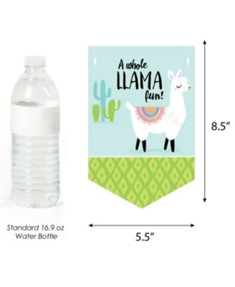 Big Dot of Happiness Whole Llama Fun - Bunting Banner - Party ...