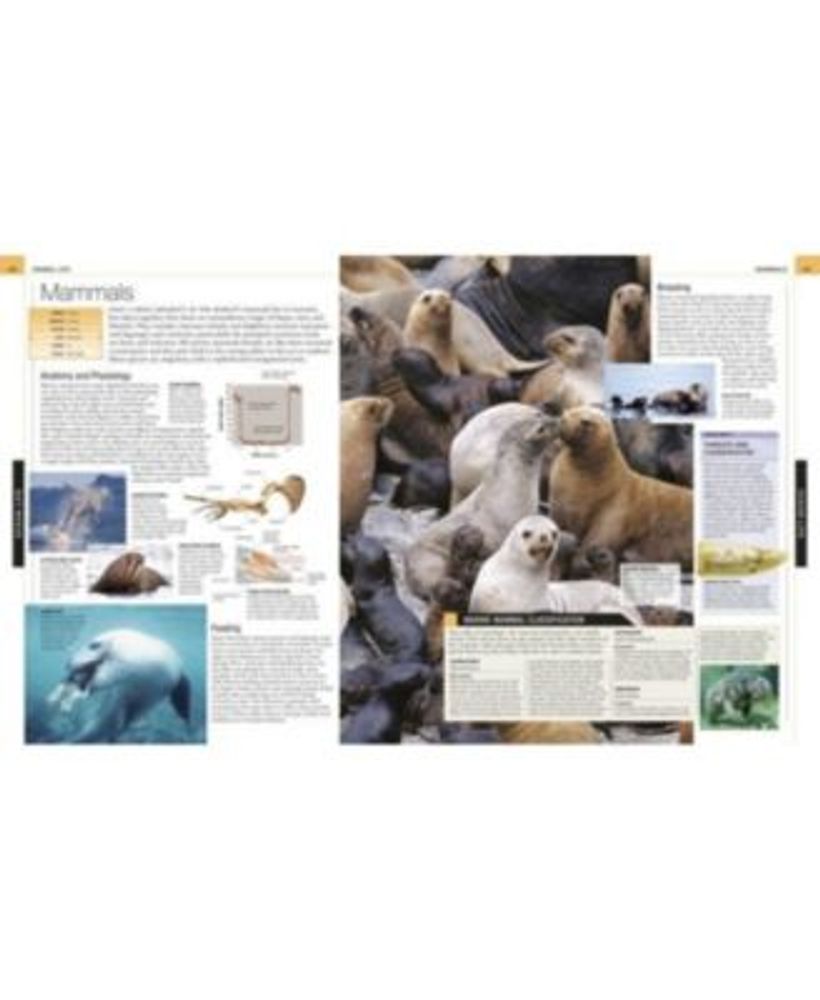 Barnes & Noble Ocean, New Edition by DK | Mall of America®