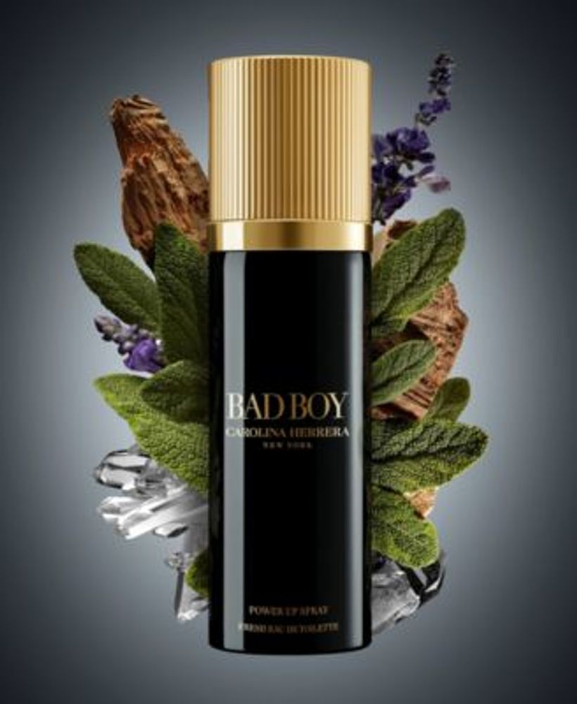 Carolina Herrera Men's Bad Boy Power Up Spray, 3.4-oz. | Mall of America®