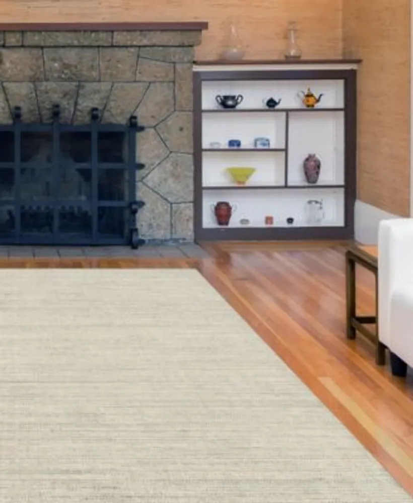 Amer Rugs Raffia Ranleigh Area Rug | Mall of America®