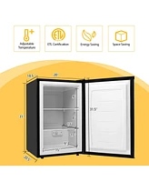 Sugift 3 Cubic Feet Compact Upright Freezer with Stainless Steel Door ...