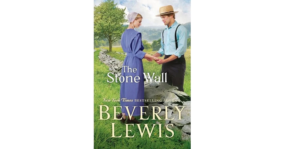 Barnes & Noble The Stone Wall by Beverly Lewis | Mall of America®