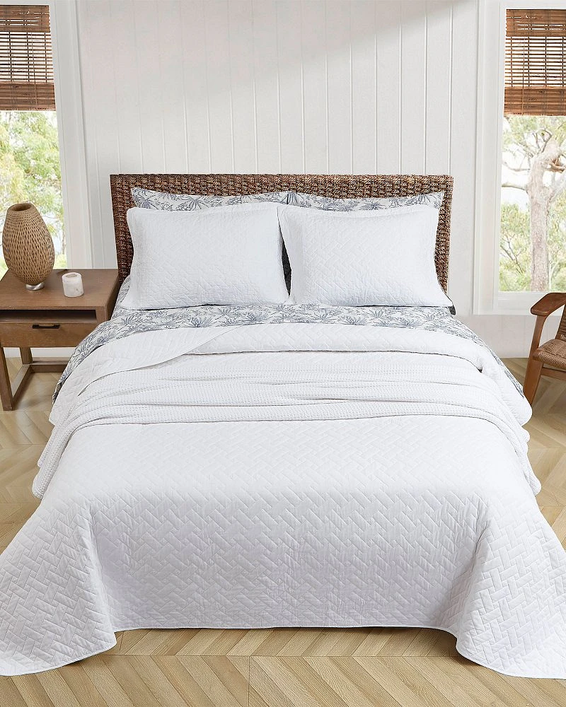 Tommy Bahama Solid Full & Queen Quilt/Sham Set | Pacific City