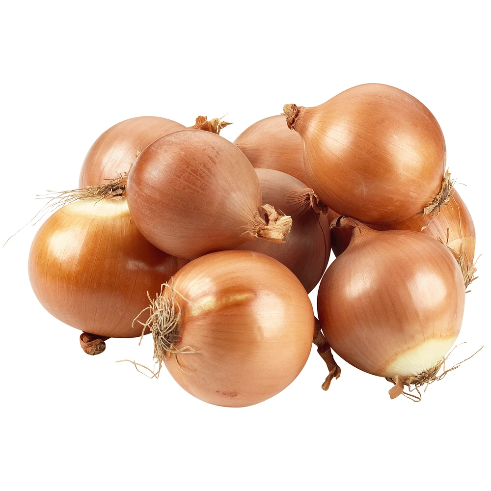 Continente Cebola Resíduo Zero | Centro Colombo