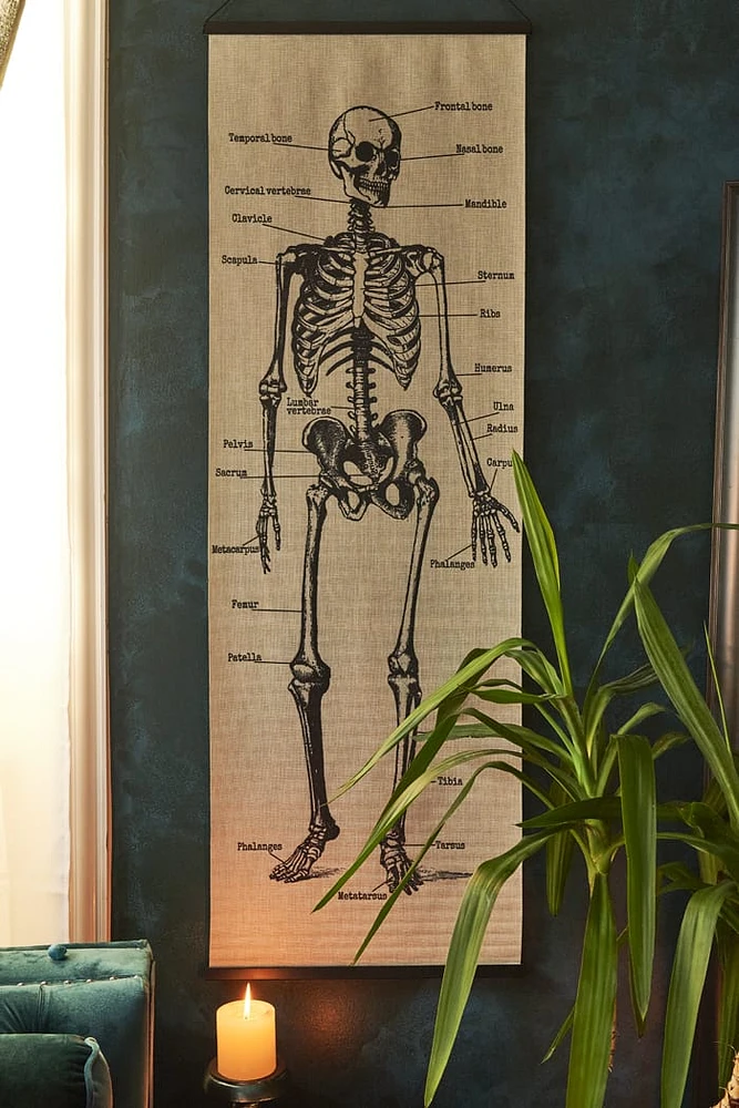 Earth Bound Trading Skeleton Chart Wall Banner | Hamilton Place