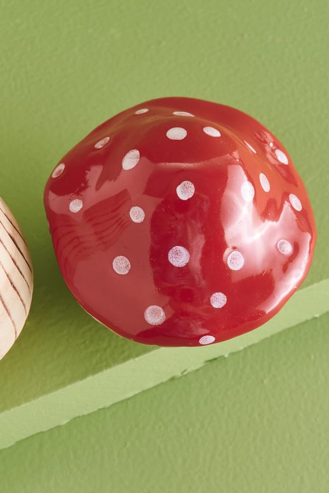Earthbound Trading Red Spotted Mushroom Stash Jar | Hamilton Place
