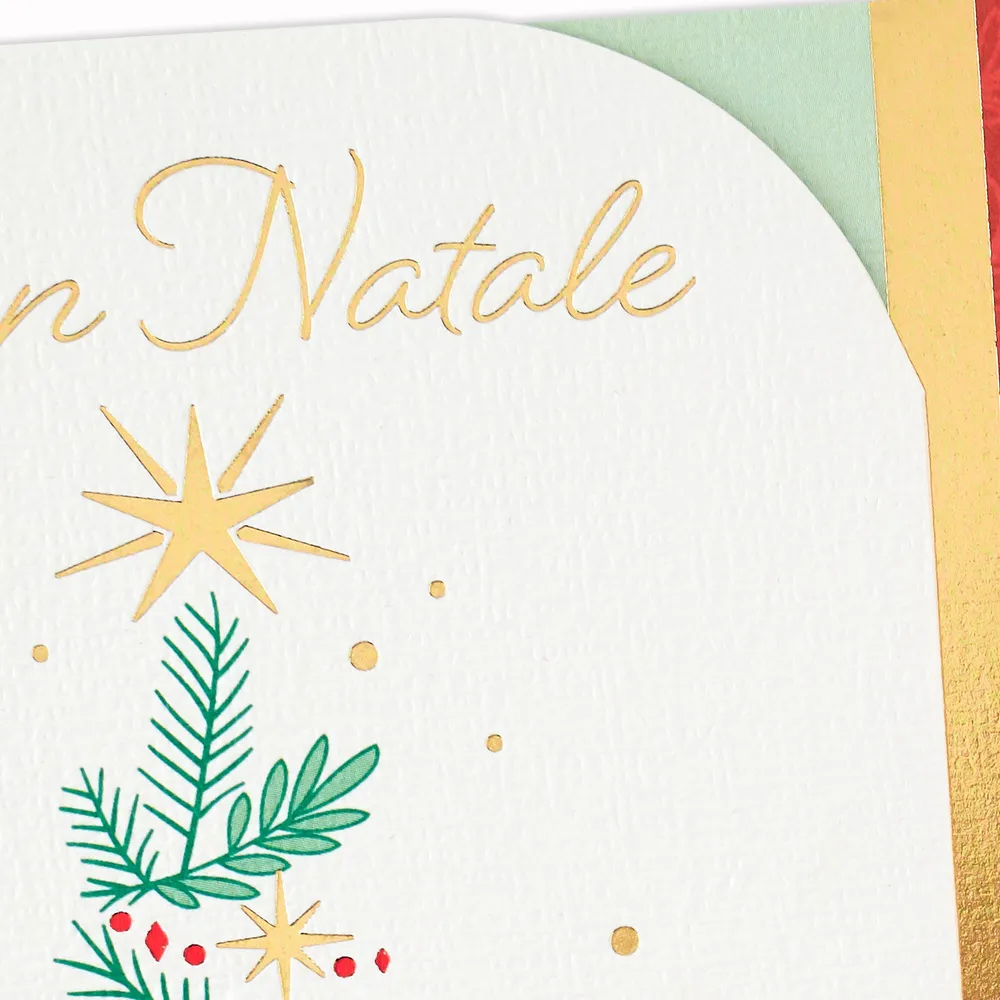 Hallmark You Brighten the Year Italian-Language Christmas Card for only ...