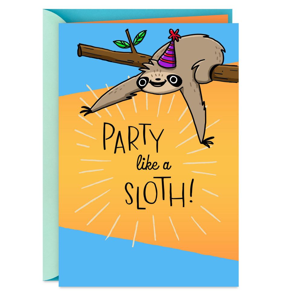 Birthday Hat Sloth