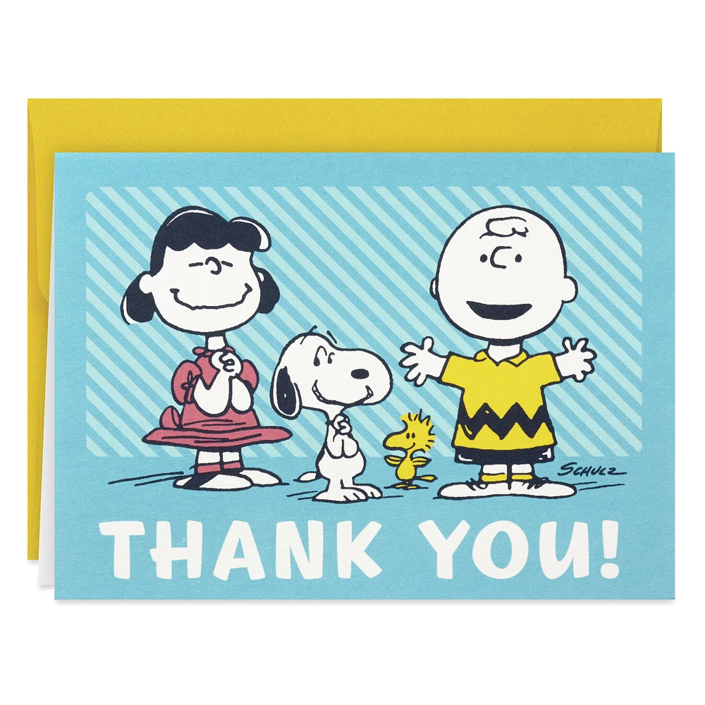 Hallmark Peanuts® Charlie Brown, Lucy and Snoopy Boxed Blank Thank-You ...