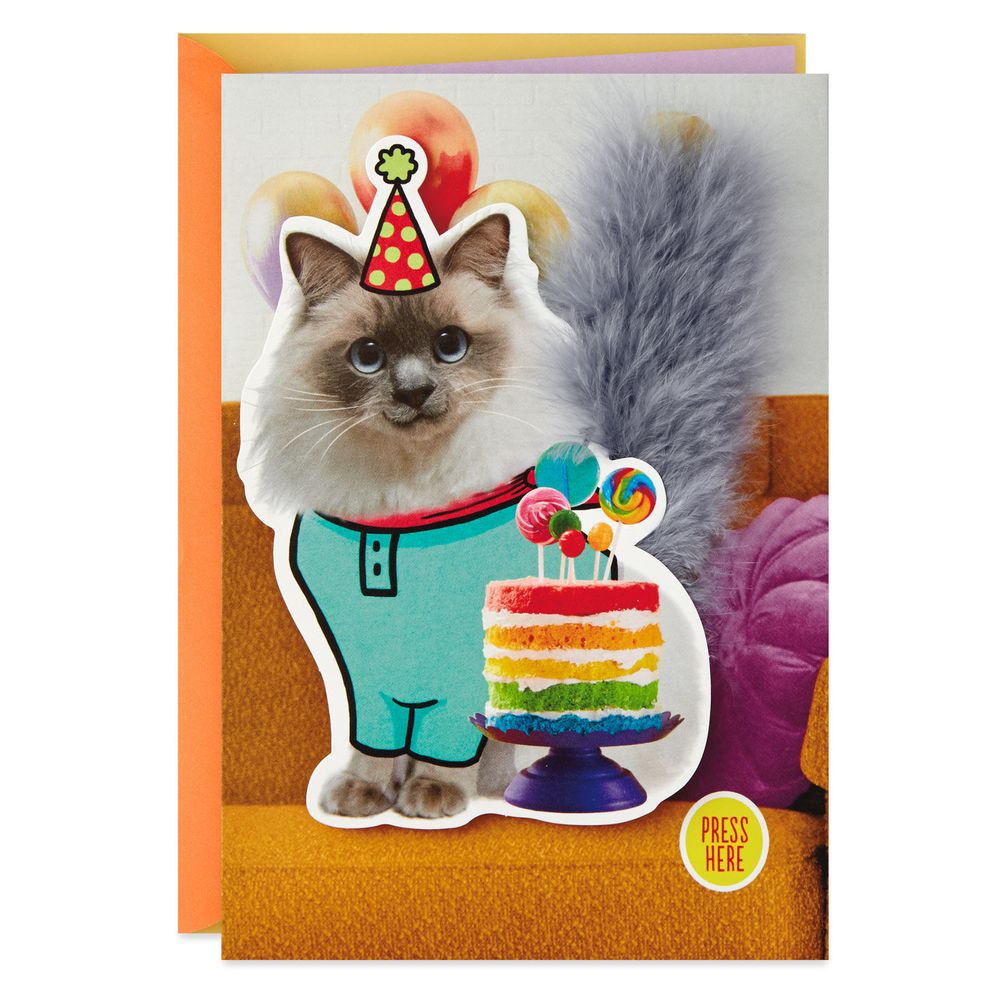 Funny Birthday Cat Pictures For Women