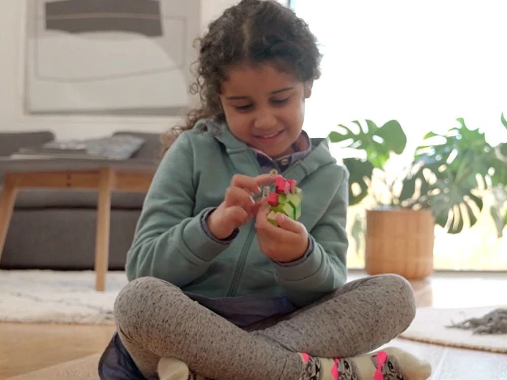 LEGO® Set de Tijolos Básico | Centro Colombo