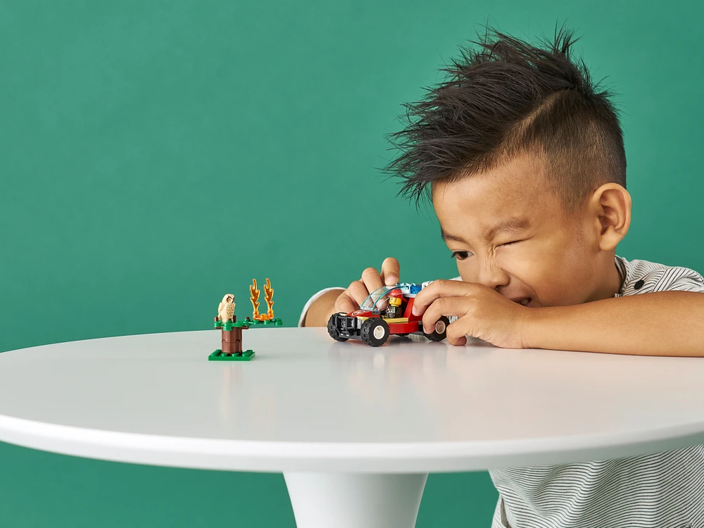 LEGO® Forest Fire | Mall of America®