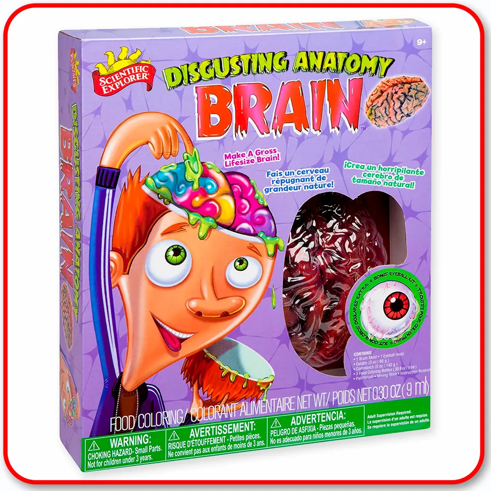 Alex Scientific Explorer - Disgusting Anatomy BRAIN | Bramalea City Centre