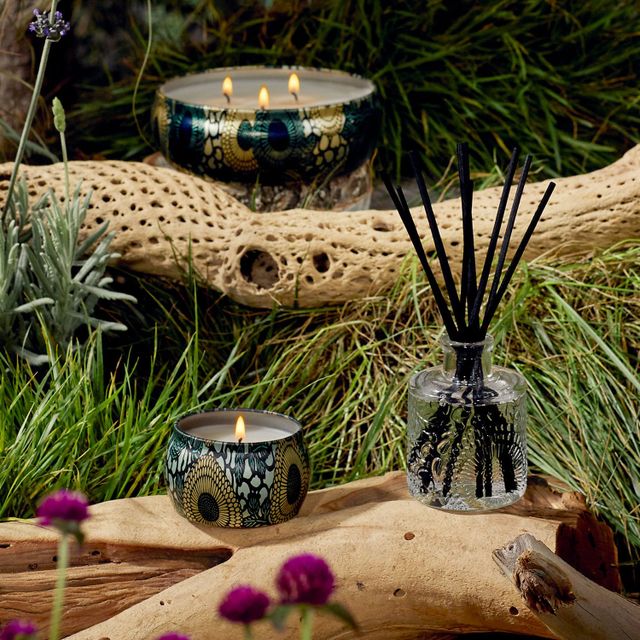 VOLUSPA French Cade & Lavender Home Diffuser | Mall of America®