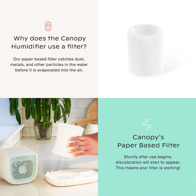 Canopy Humidifier for Skin Hydration | Hamilton Place